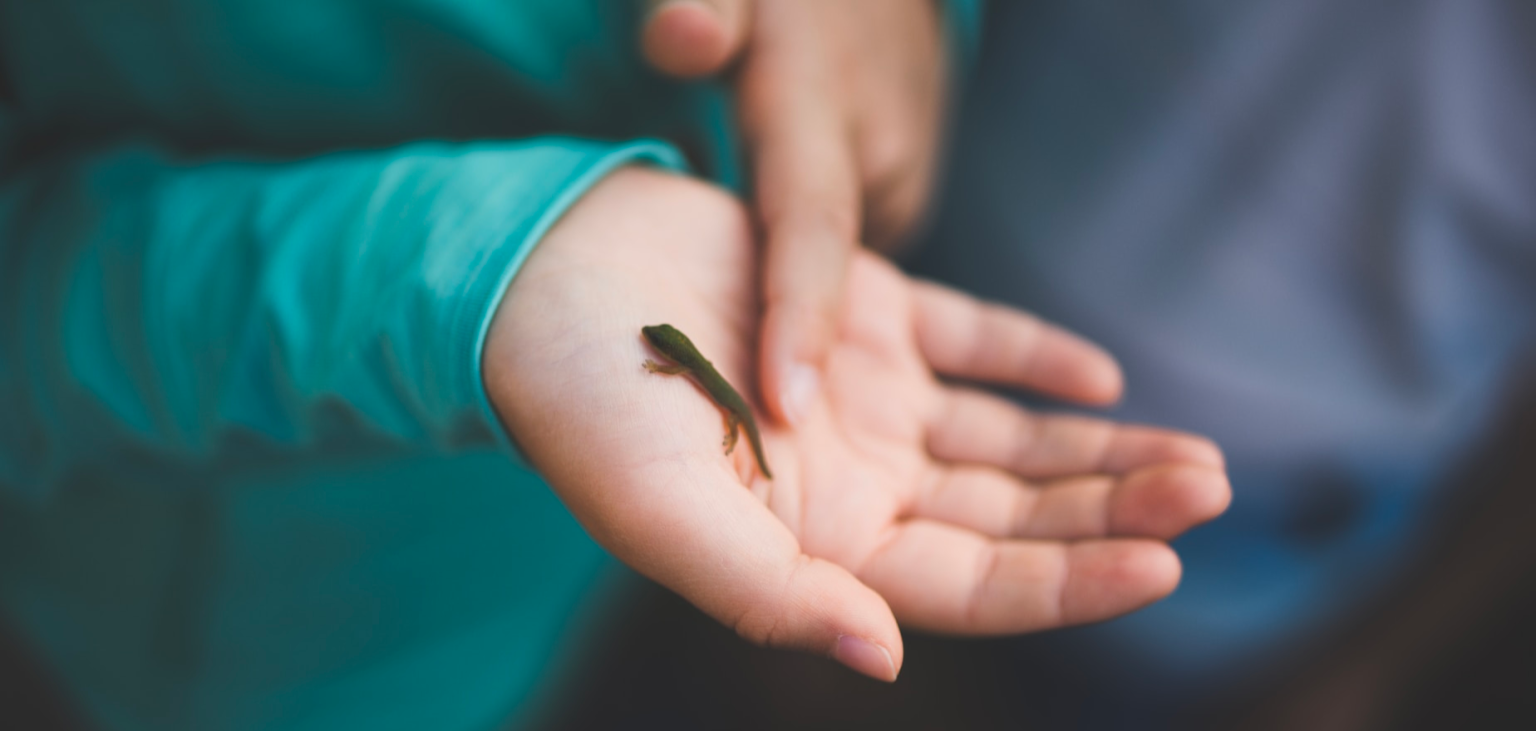 Services – EnviroCom