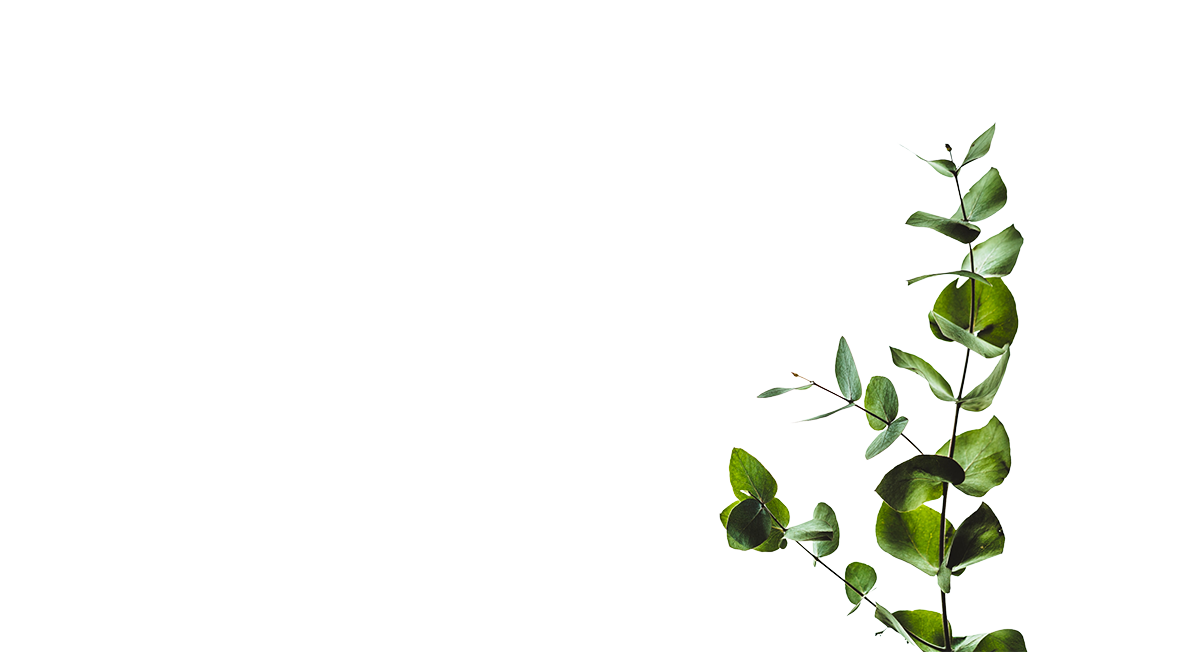 EnviroCom – Specialised services in Environmental Education, Training ...