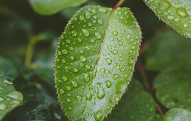 EnviroCom recognised in Inside Waste’s annual Consultants Review ...