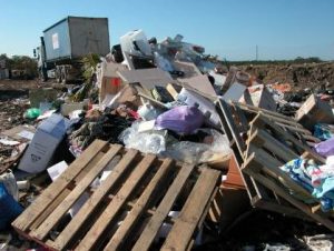 Sunshine Coast Visual and Photographic Waste Assessment – EnviroCom